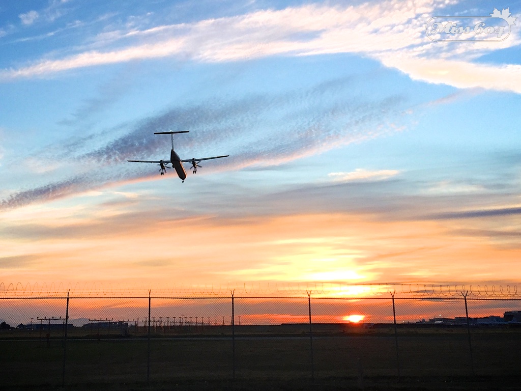 Watching Planes Land in Vancouver at Flight Path Park » Vancouver Blog ...