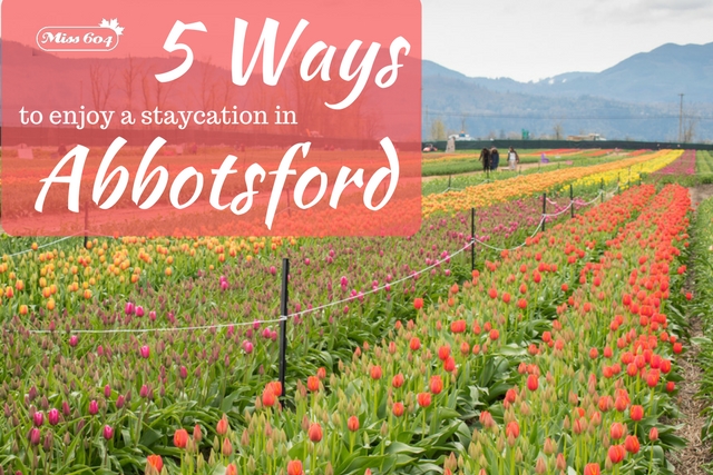 5 Ways to Enjoy an Abbotsford Staycation » Vancouver Blog Miss604