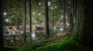 Canyon Lights at Capilano Suspension Bridge Open for 2020 Holidays ...