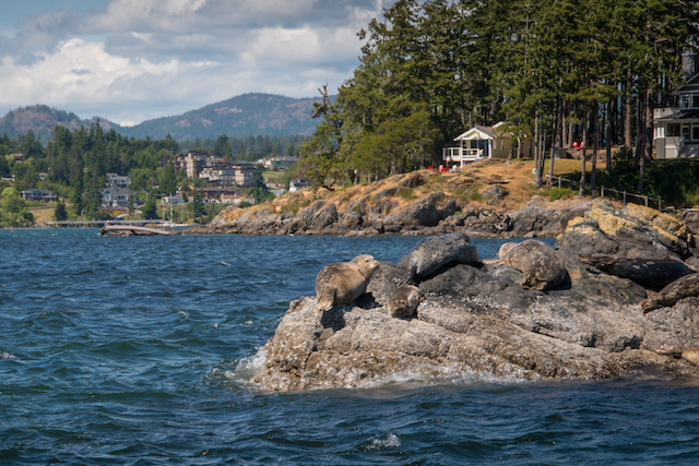 Explore Sooke by Land and Sea at Sooke Harbour Resort » Vancouver Blog ...