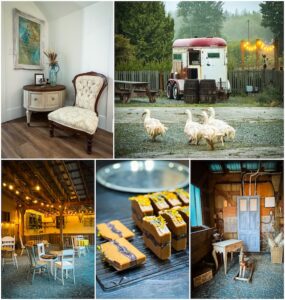 Events at the Farm in Langley » Vancouver Blog Miss604