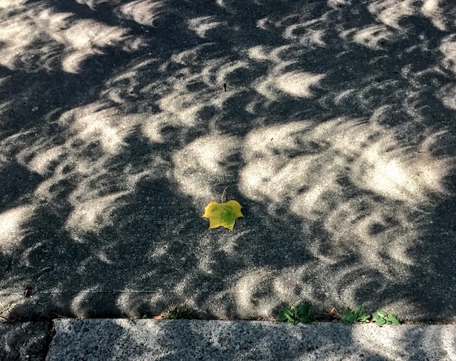 How to View the Solar Eclipse in Vancouver » Vancouver Blog Miss604